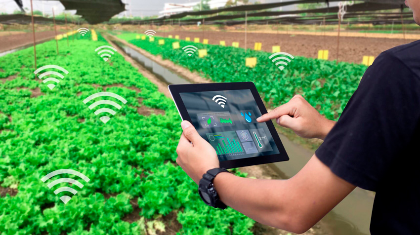 Greenyway - Innovación y Desarrollo en el Sector Agroalimentario